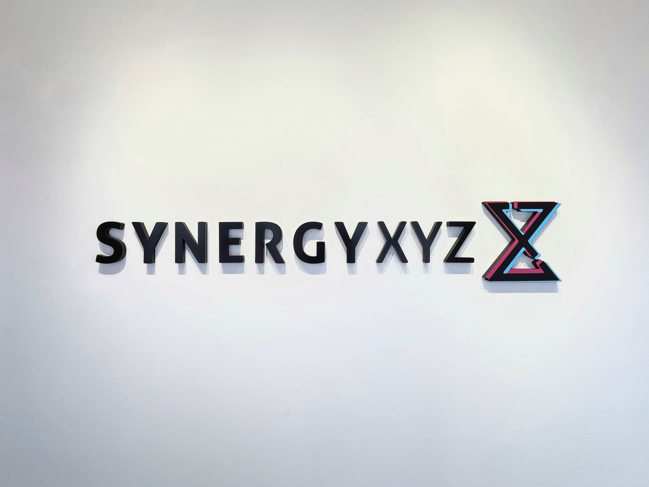 About Us – Career Synergy XYZ